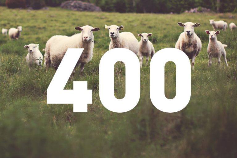 祝400人突破！YADOKARI ボランティア・サポーター！ | YADOKARI.net